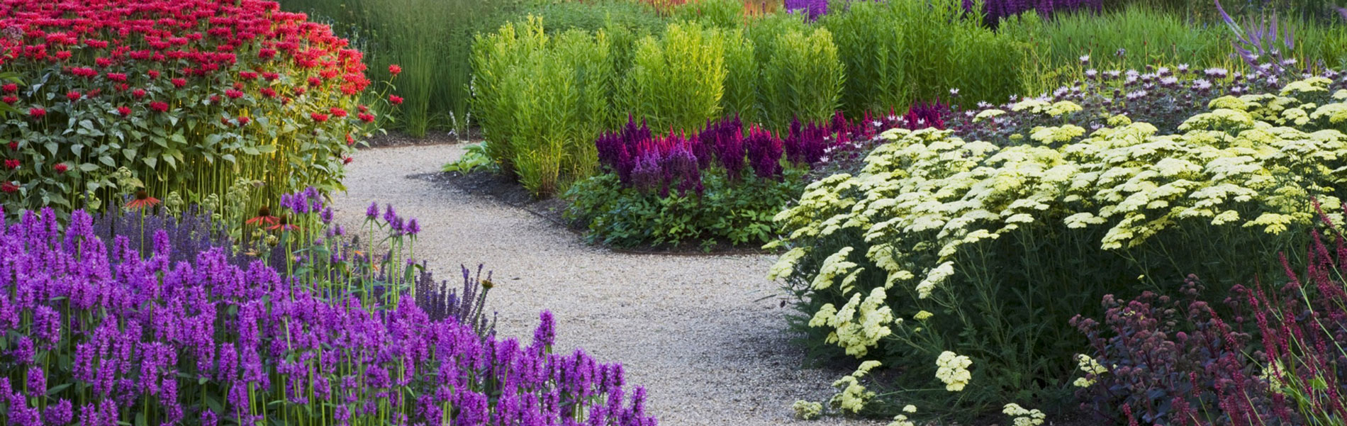 Spring Garden tips blog from Waterways Garden Centre in the UK