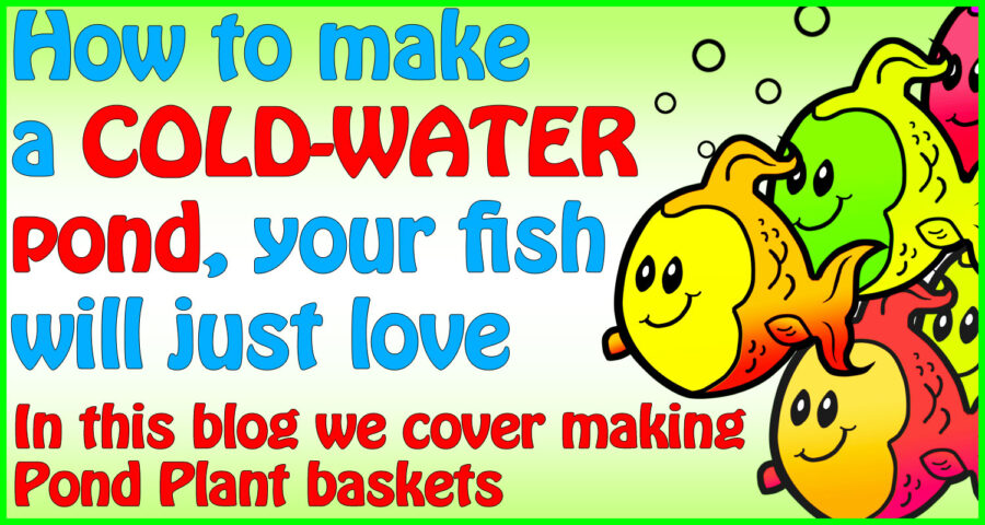 Cold water Garden pond guide - Waterways Garden Centre